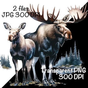 Moose Sublimation Hunting PNG Wildlife Moose PNG Commercial Use Hunter ...