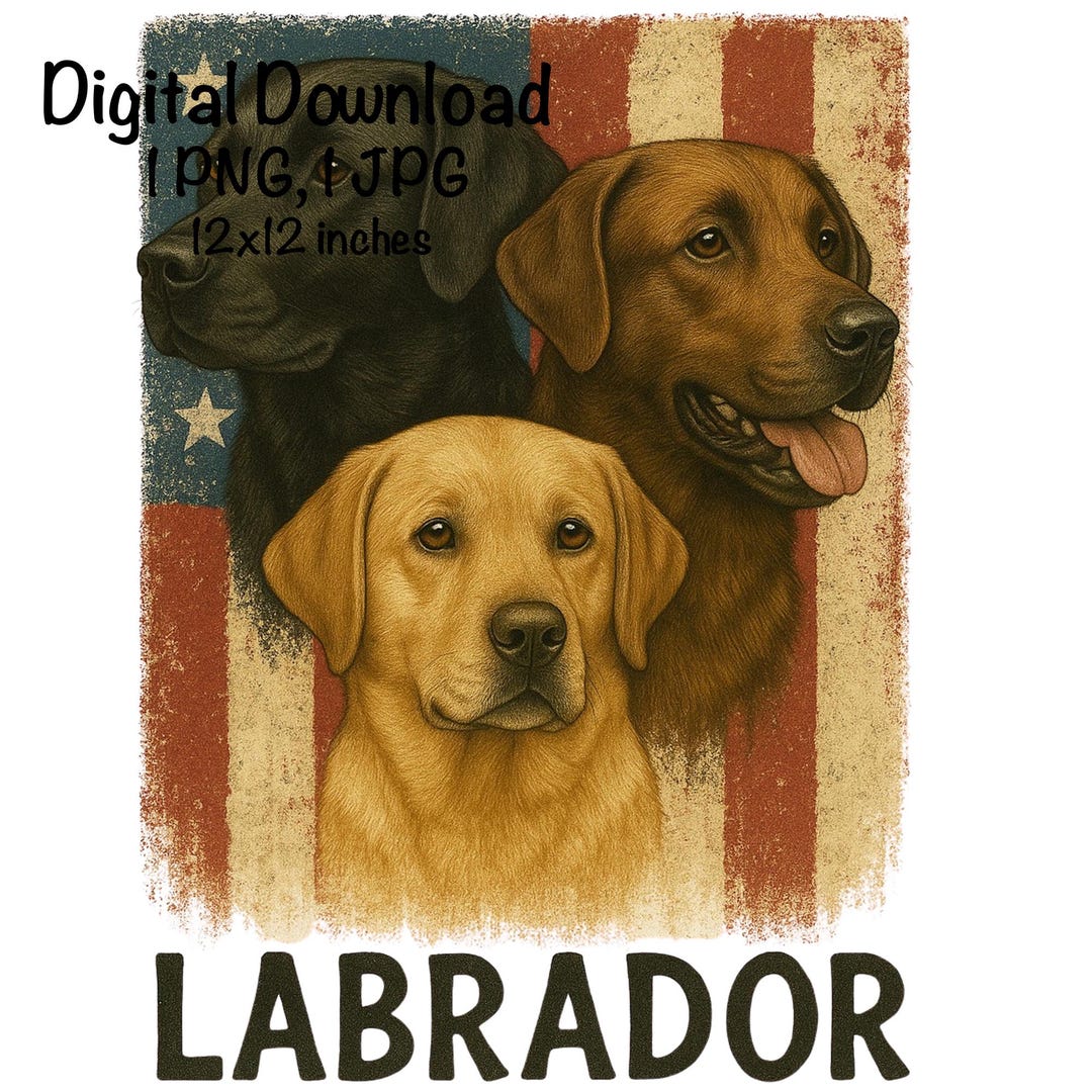 Labradors Flag PNG, Patriotic USA Labrador Flag Sublimation, American ...