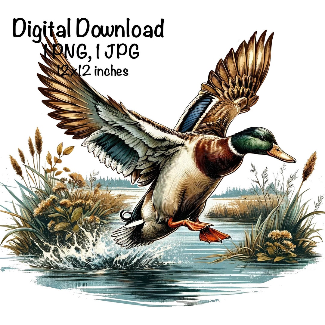 Mallard Duck PNG Wild Duck Sublimation PNG Mallard Duck Sublimation ...