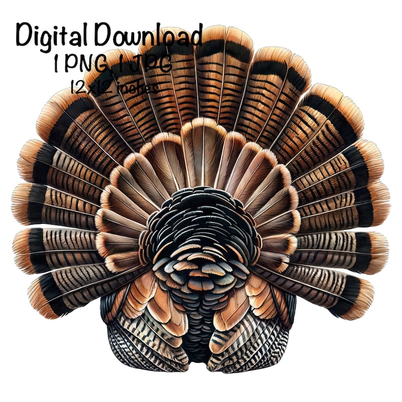 Turkey Feather Clipart - Etsy