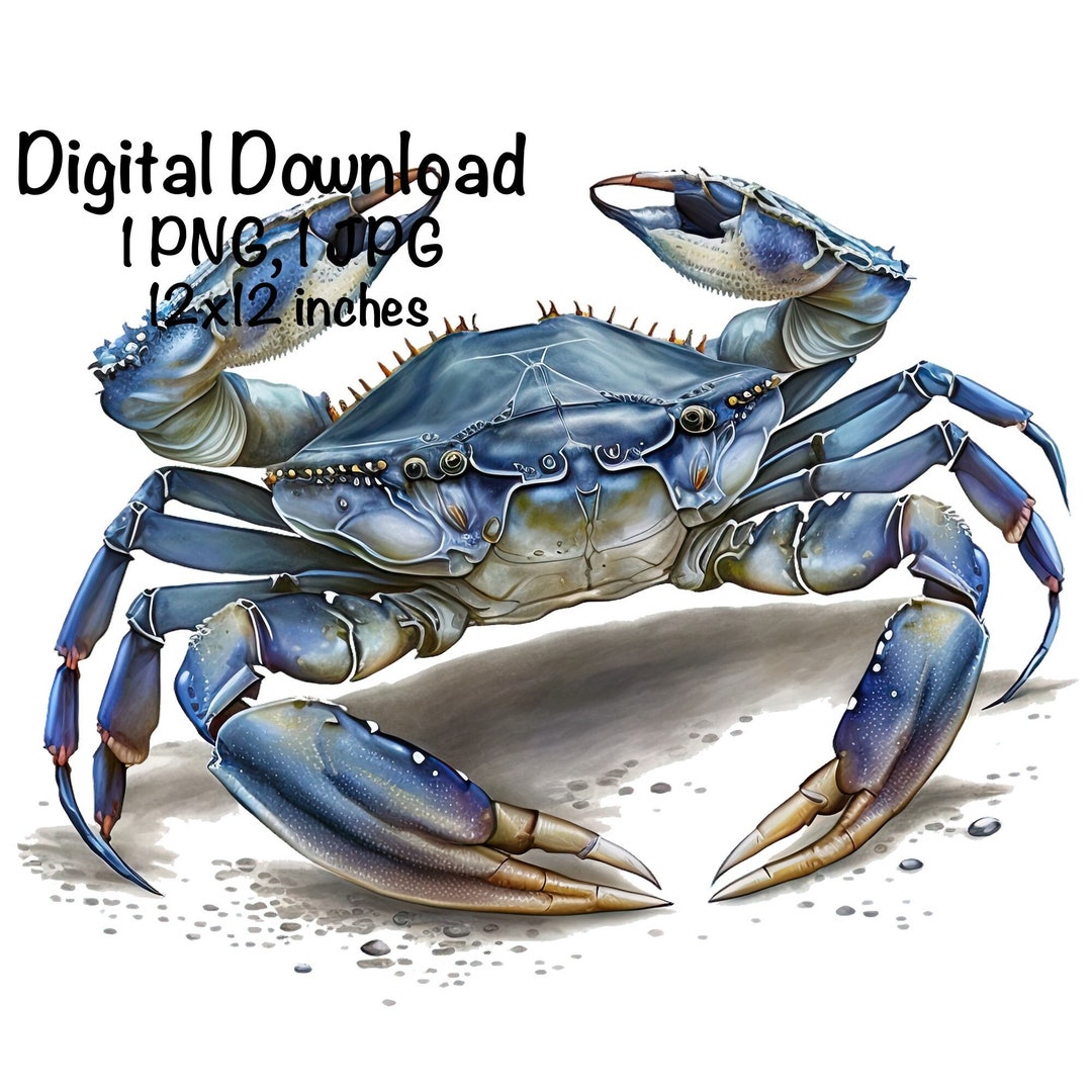 Blue Crab Watercolor Crabbing Fishing Clipart Blue Crab PNG Commercial ...