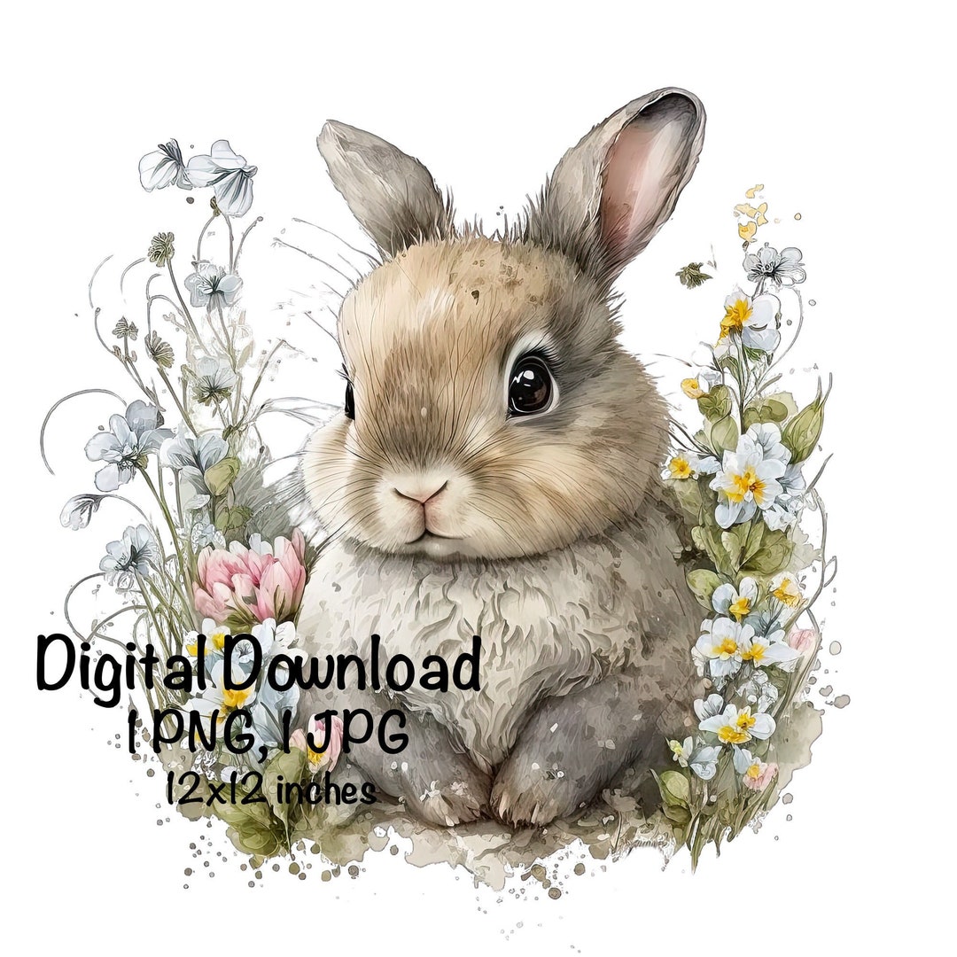 Cute Bunny Watercolor Clipart Garden Bunny Spring Daisy - Etsy