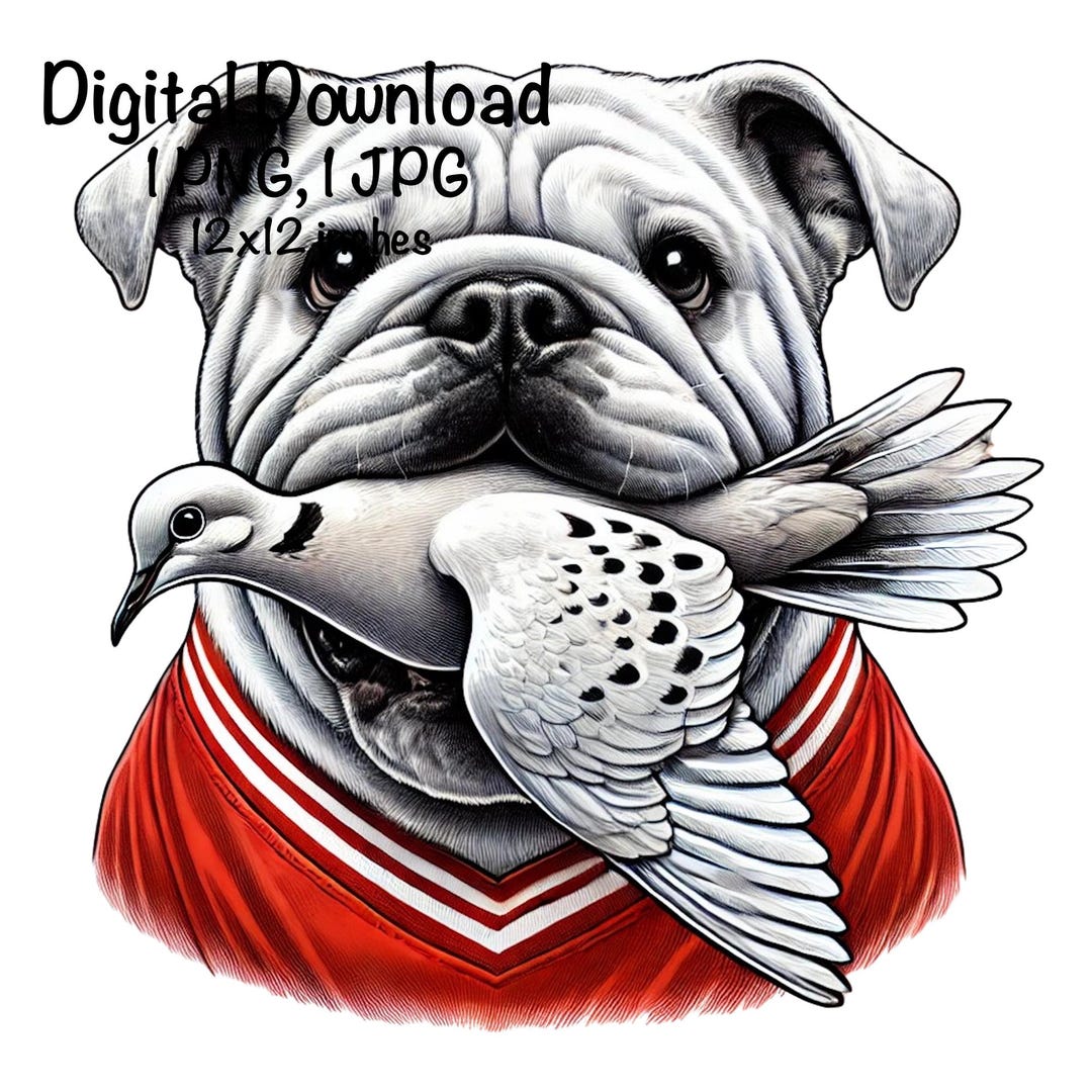 Bulldog Dog PNG | Dove Hunting | Bird Dog PNG | Dove Hunt Sublimation ...