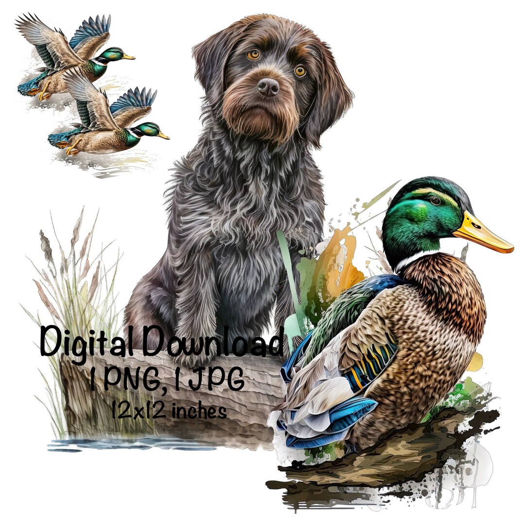 Duck Hunting PNG, Hunting Dog and Duck, Digital Download, Duck Hunting ...