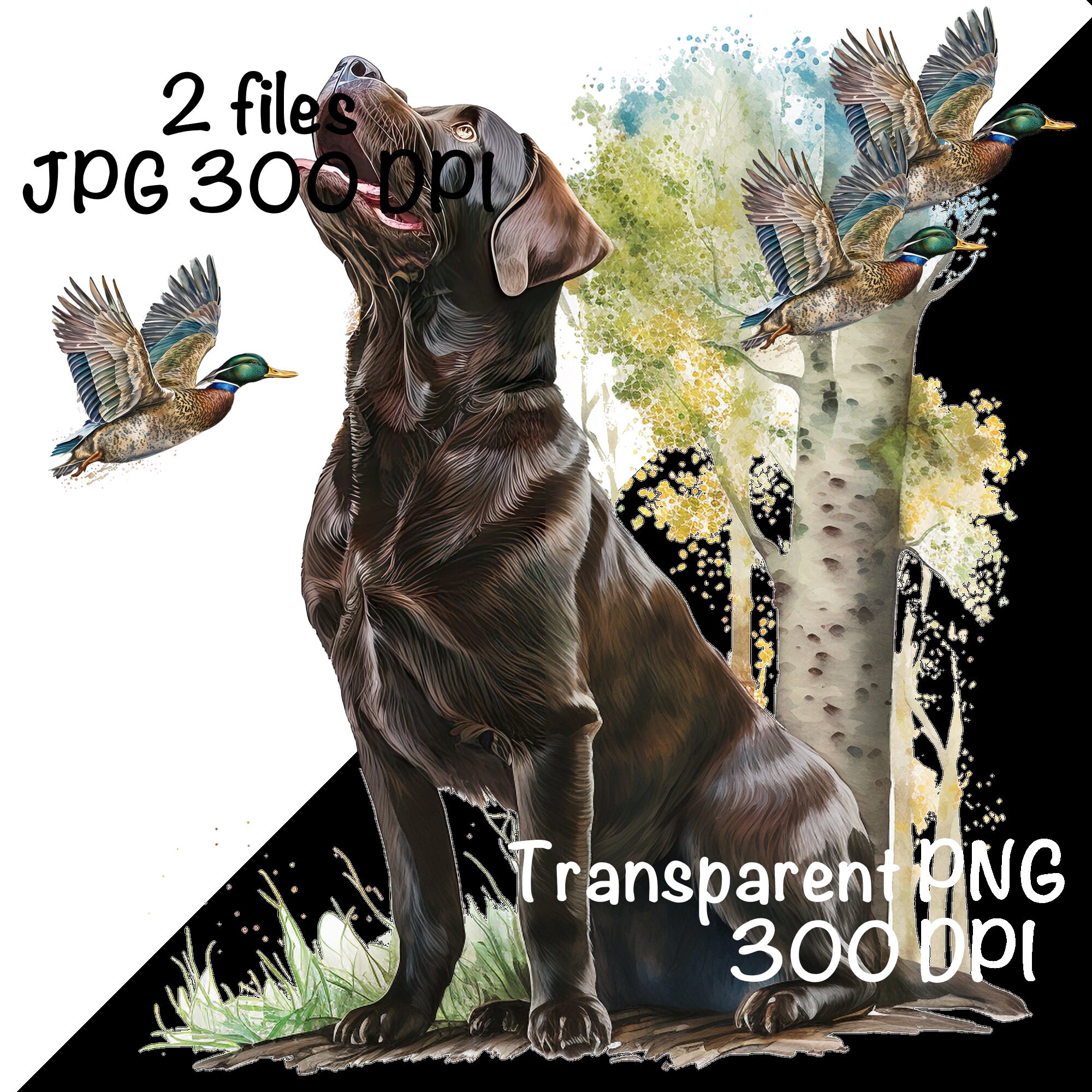 Black Labrador Hunting Wallpaper