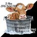 Dairy Cow Watercolor Clipart Cute Milk Cow in a Bucket Baby Cow PNG ...