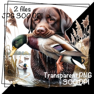 Labrador Dog PNG Duck Hunting Chocolate Labrador Dog PNG Download ...