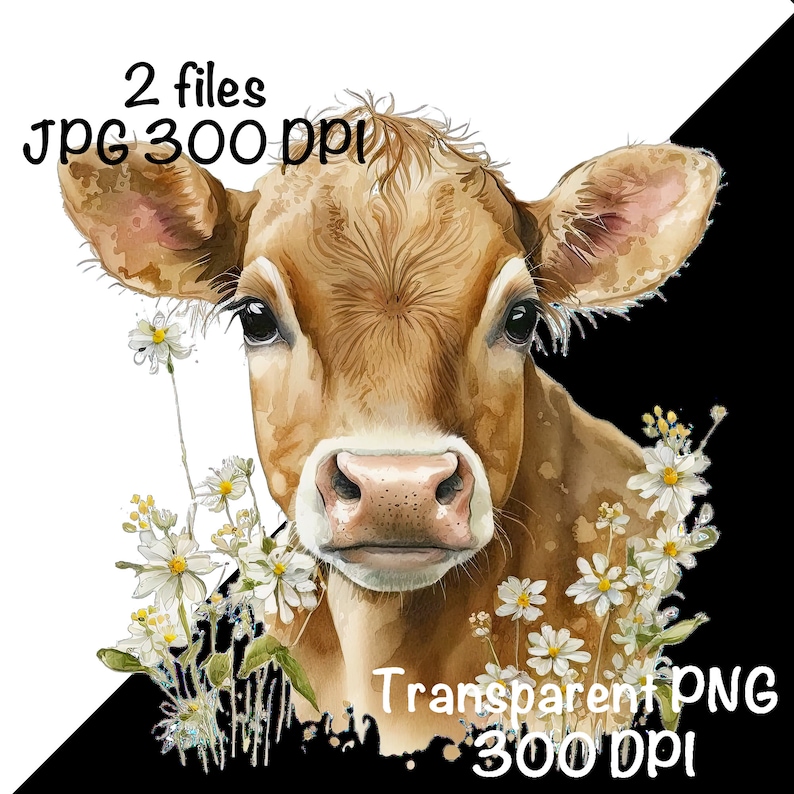 Dairy Milk Cow Watercolor Clipart Highland Cow Daisy Flowers - Etsy