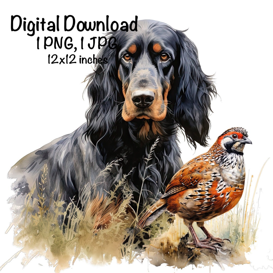 Bird Hunting PNG, Hunting Dog and Quail Digital Download, Bird Hunting ...