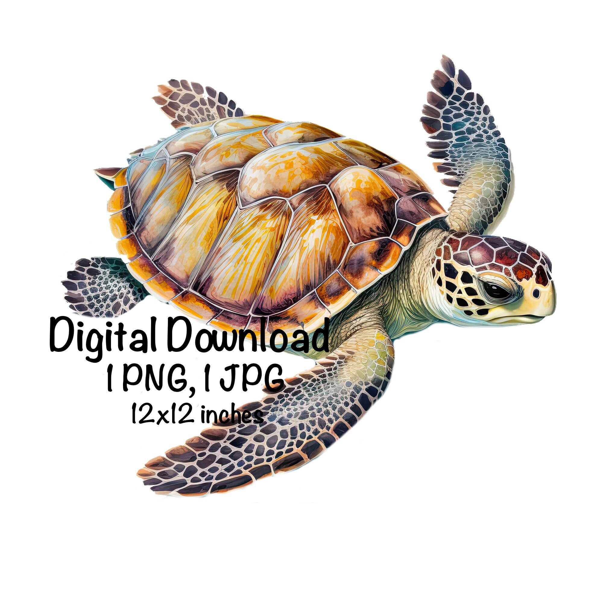 Sea Turtle Shell Clip Art