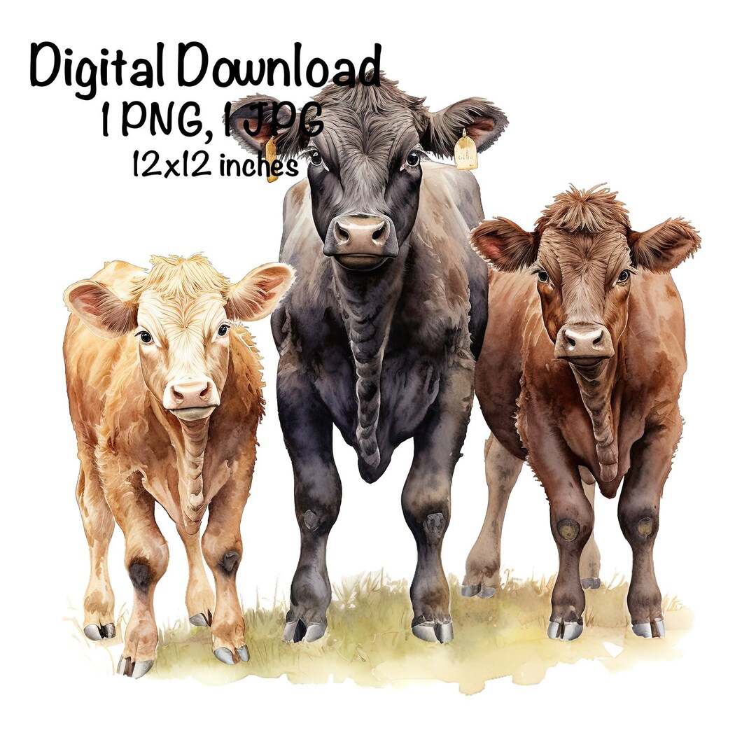 Angus Cows Watercolor Clipart Beef Cows Mama Angus Cow PNG Commercial ...