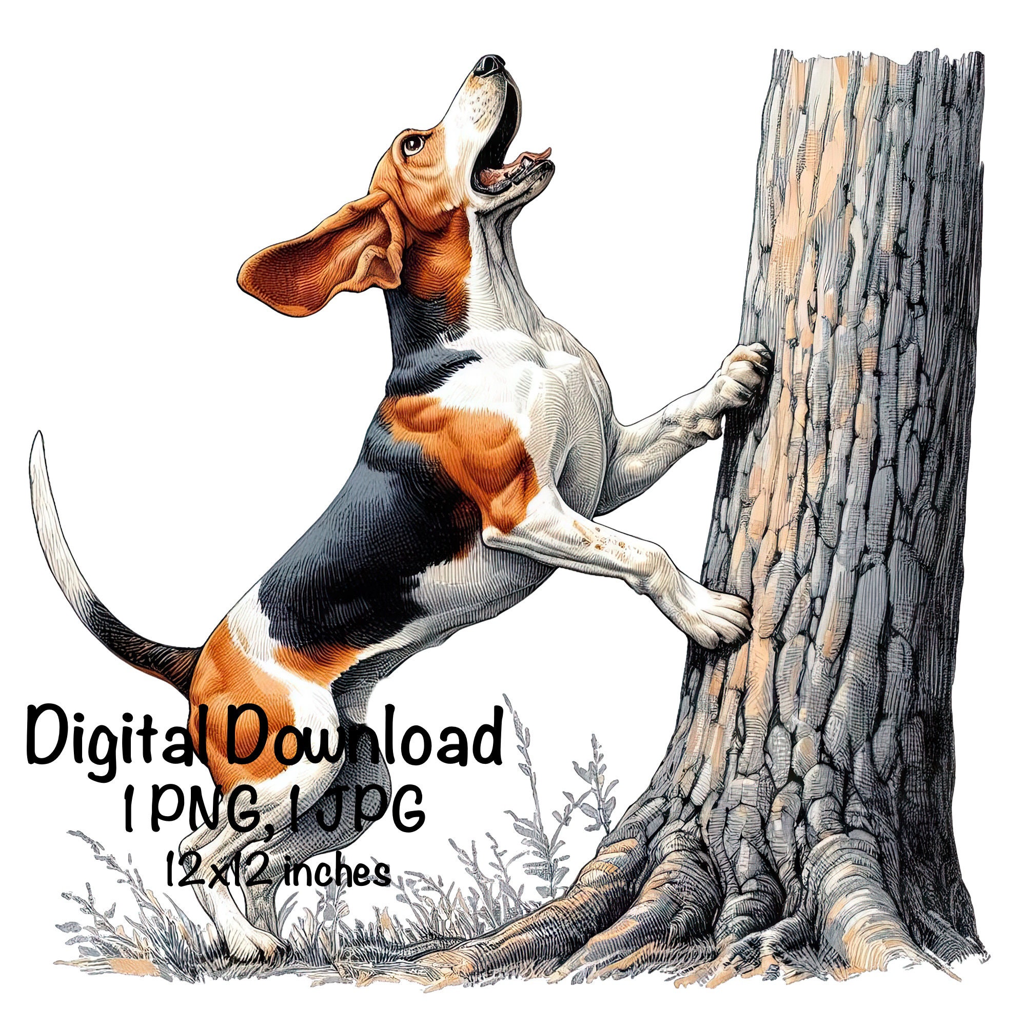 Treeing Walker Coonhound Sublimation PNG | Hunting Dog Sublimation ...