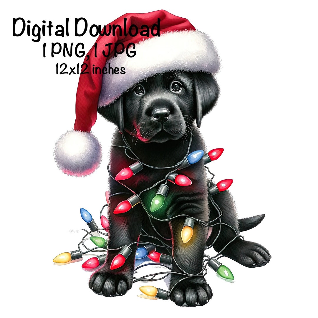 Christmas Labrador Puppy PNG Christmas Lights Santa Yellow Labrador ...