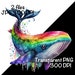Rainbow Whale PNG, Killer Whale Sublimation Ocean Animals Sea Animals ...