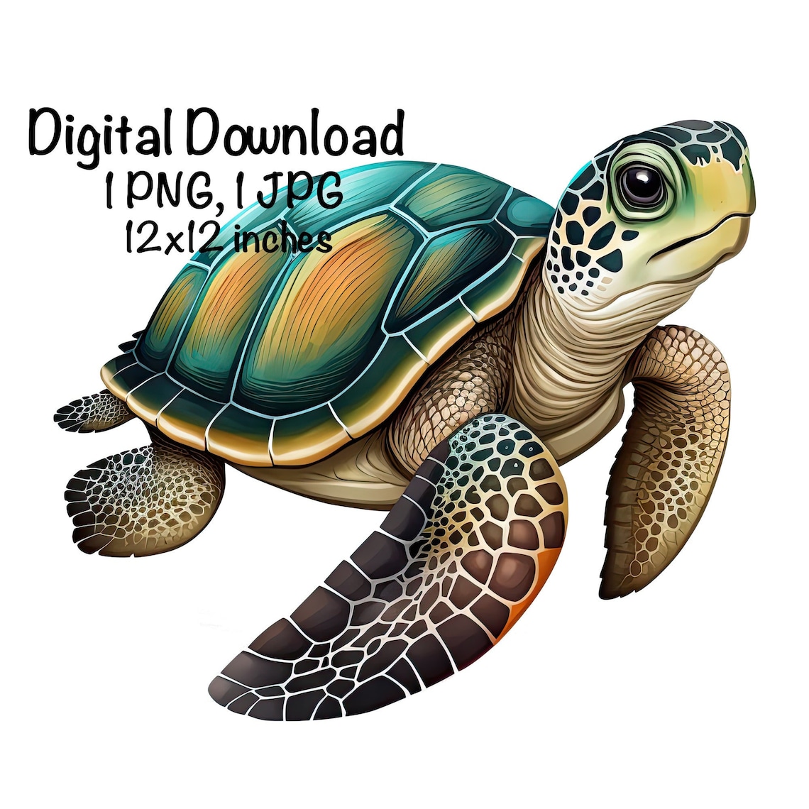 Sea Turtle Cute Sea Turtle Clipart Ocean Animals Sea Turtle - Etsy
