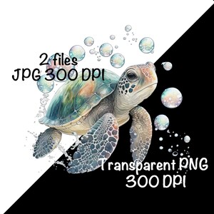 Sea Turtle Sea Turtle Watercolor Clipart Ocean Animals Sea - Etsy