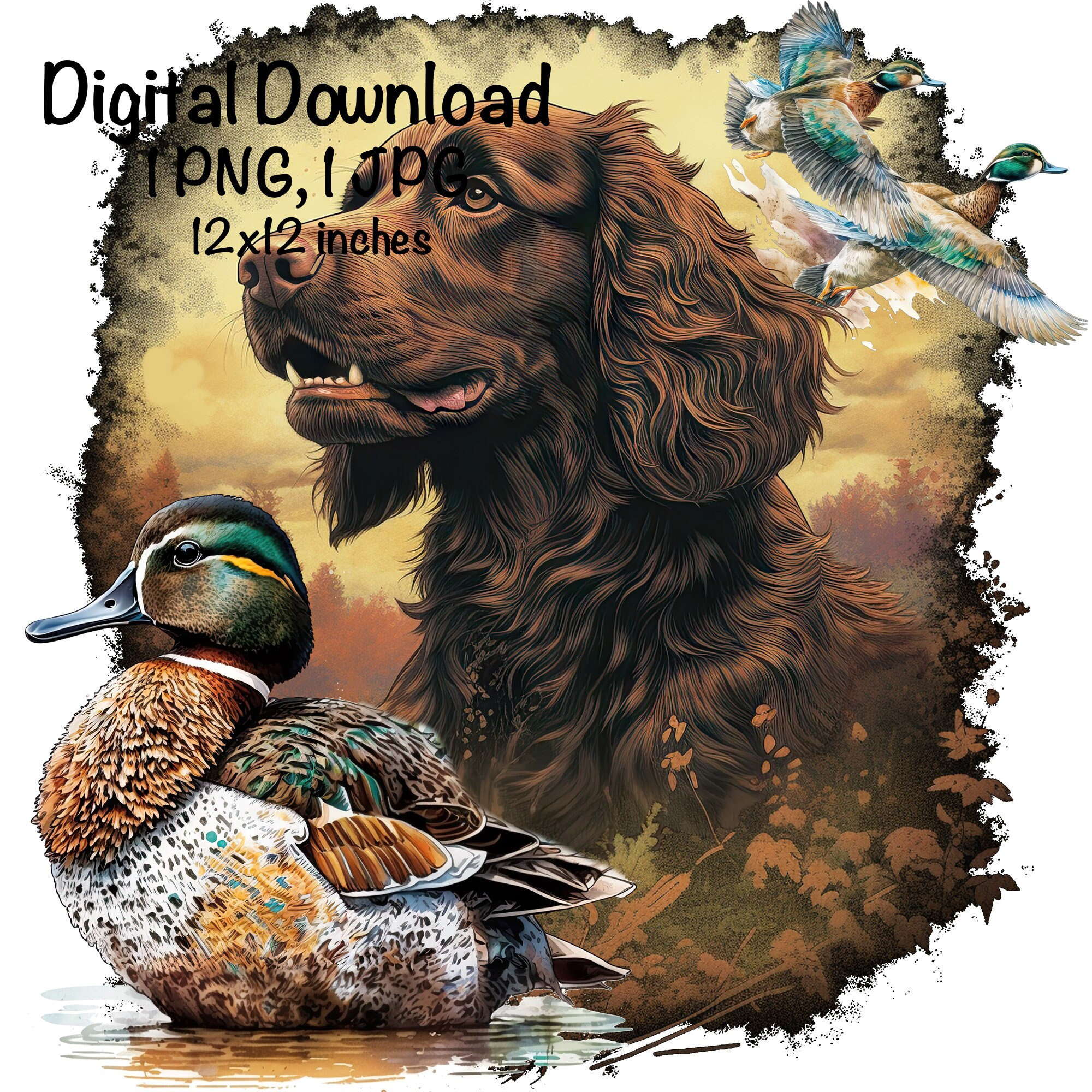 Boykin Spaniel Duck Hunting