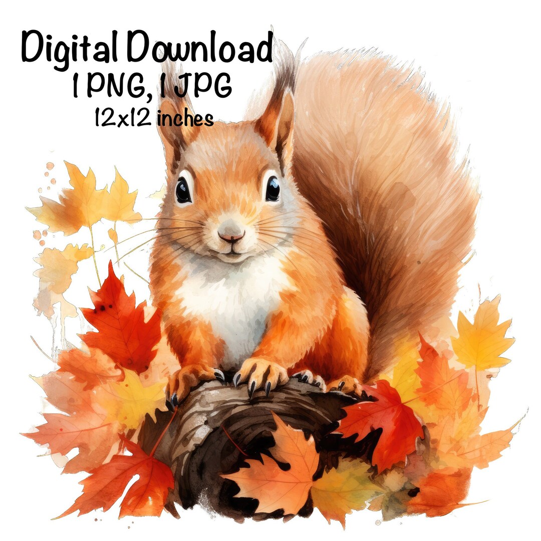 Cute Squirrel PNG, Autumn Fall PNG, Watercolor Squirrel Autumn PNG ...