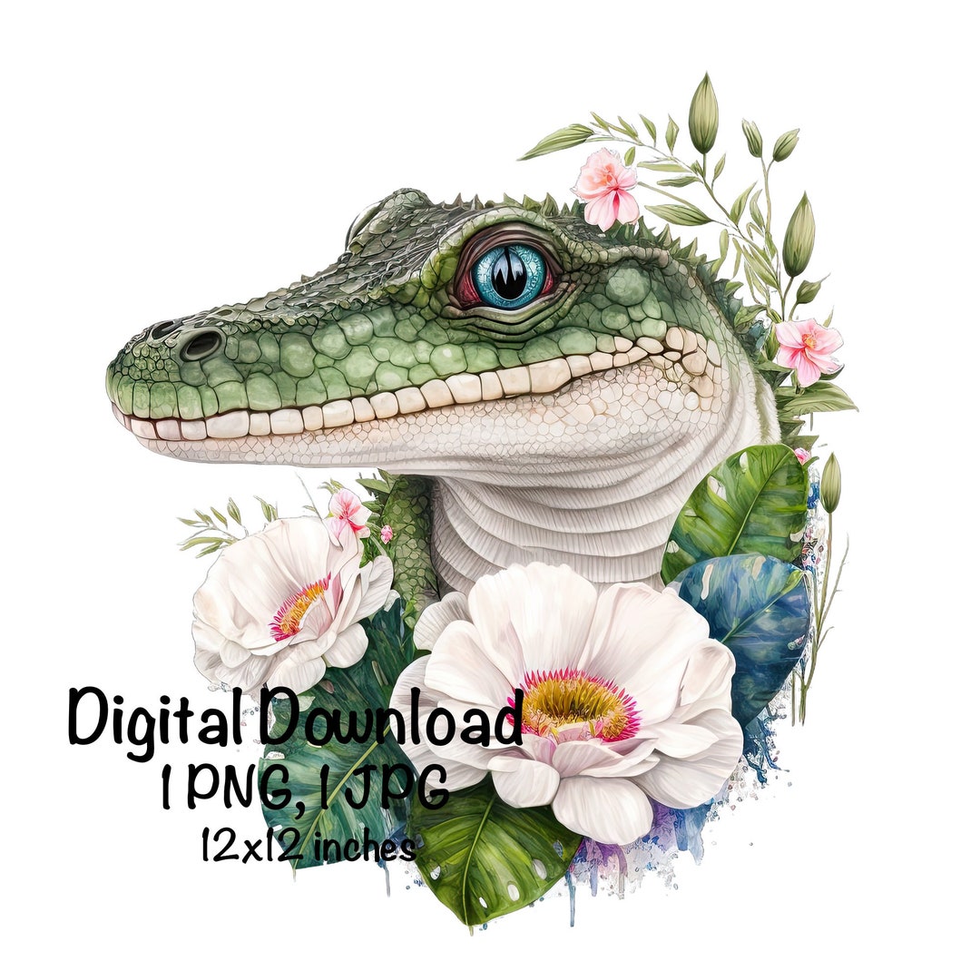 Alligator Watercolor Clipart Louisiana Alligator Magnolia Flowers PNG ...