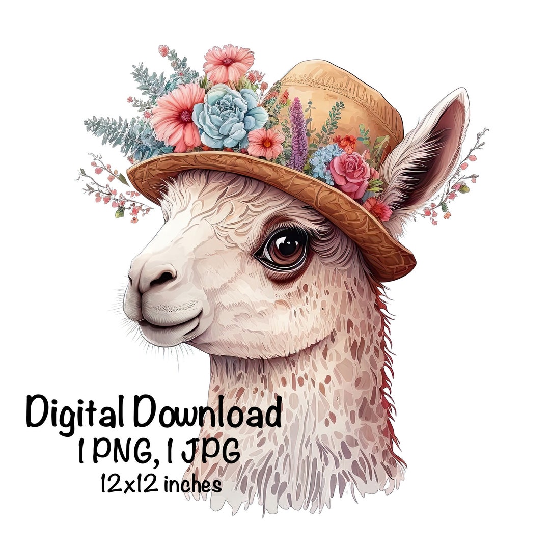Llama Watercolor Clipart Farm Llama Hat Spring Flowers PNG Commercial ...