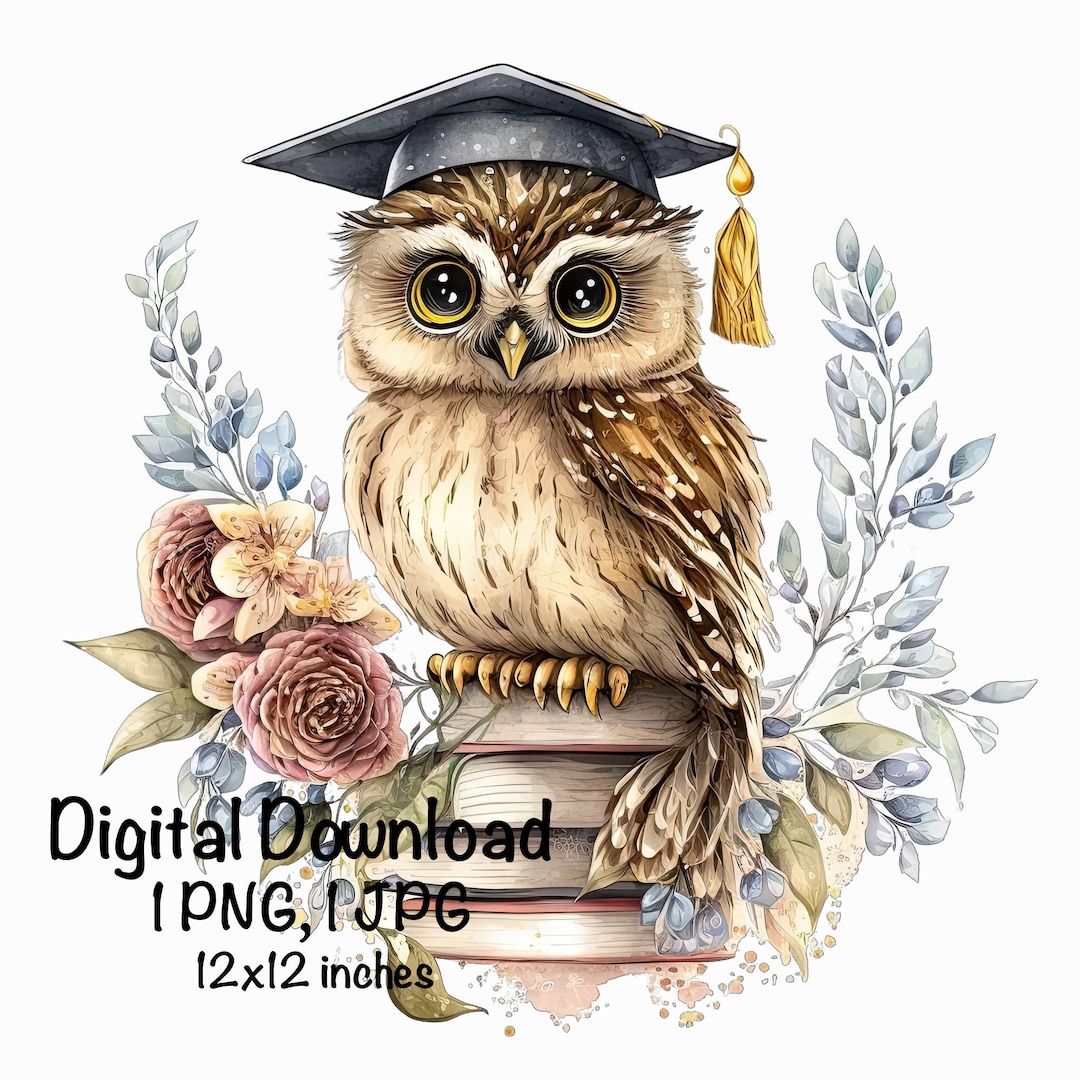 Graduation Owl Clipart Grad Student Owl PNG College Graduation ...