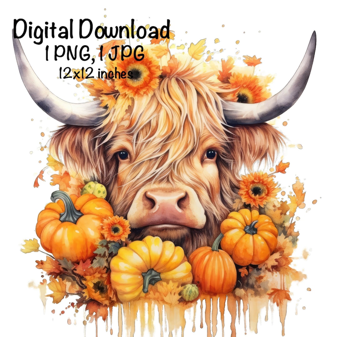 Fall Highland Cow PNG Watercolor Clipart Highland Fall Flowers Cow PNG ...