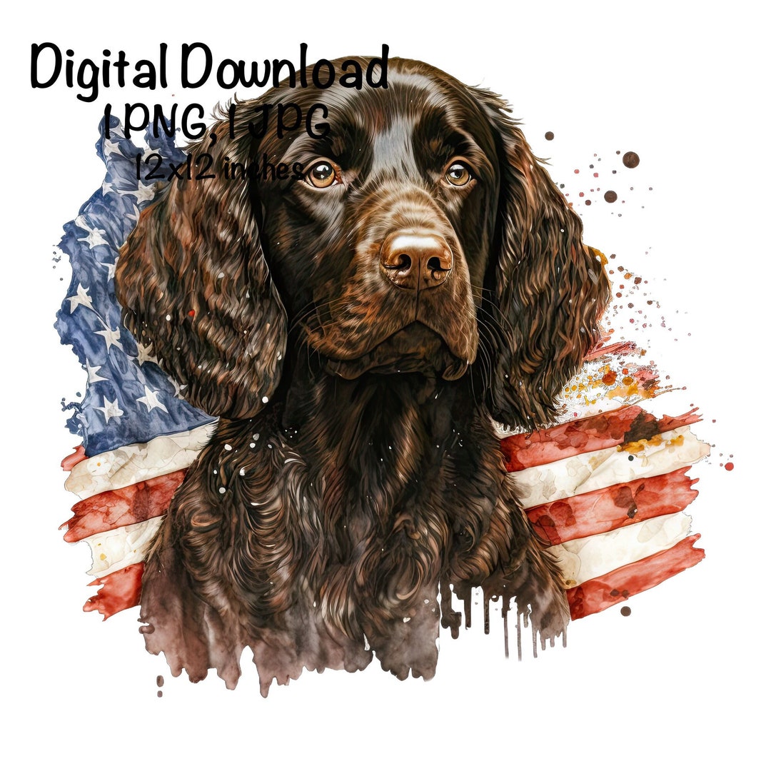 Boykin Spaniel Flag PNG Patriotic USA Dog Flag Clipart American Dog ...