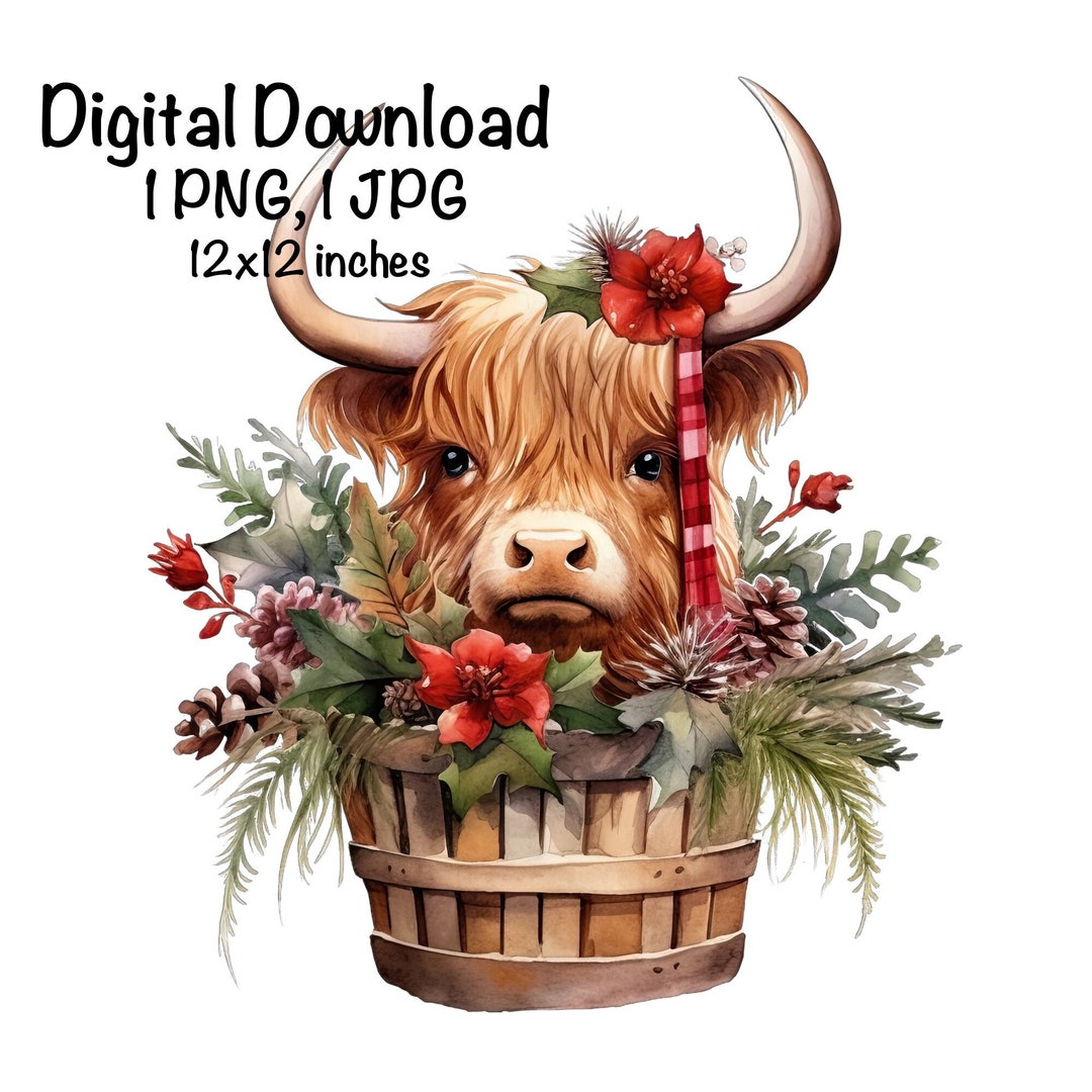 Highland Cow Watercolor Clipart Highland Cow Christmas Flowers Xmas PNG ...