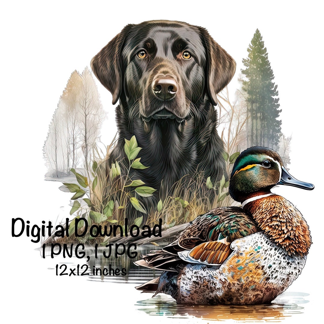 Duck Hunting Dog Watercolor Clipart Chocolate Labrador Cute Dog PNG ...