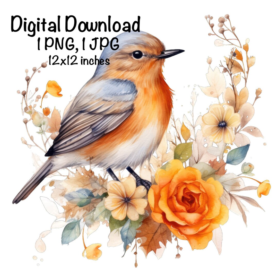 Cute Robin PNG, Autumn Fall PNG, Watercolor Robin Bird Autumn PNG ...