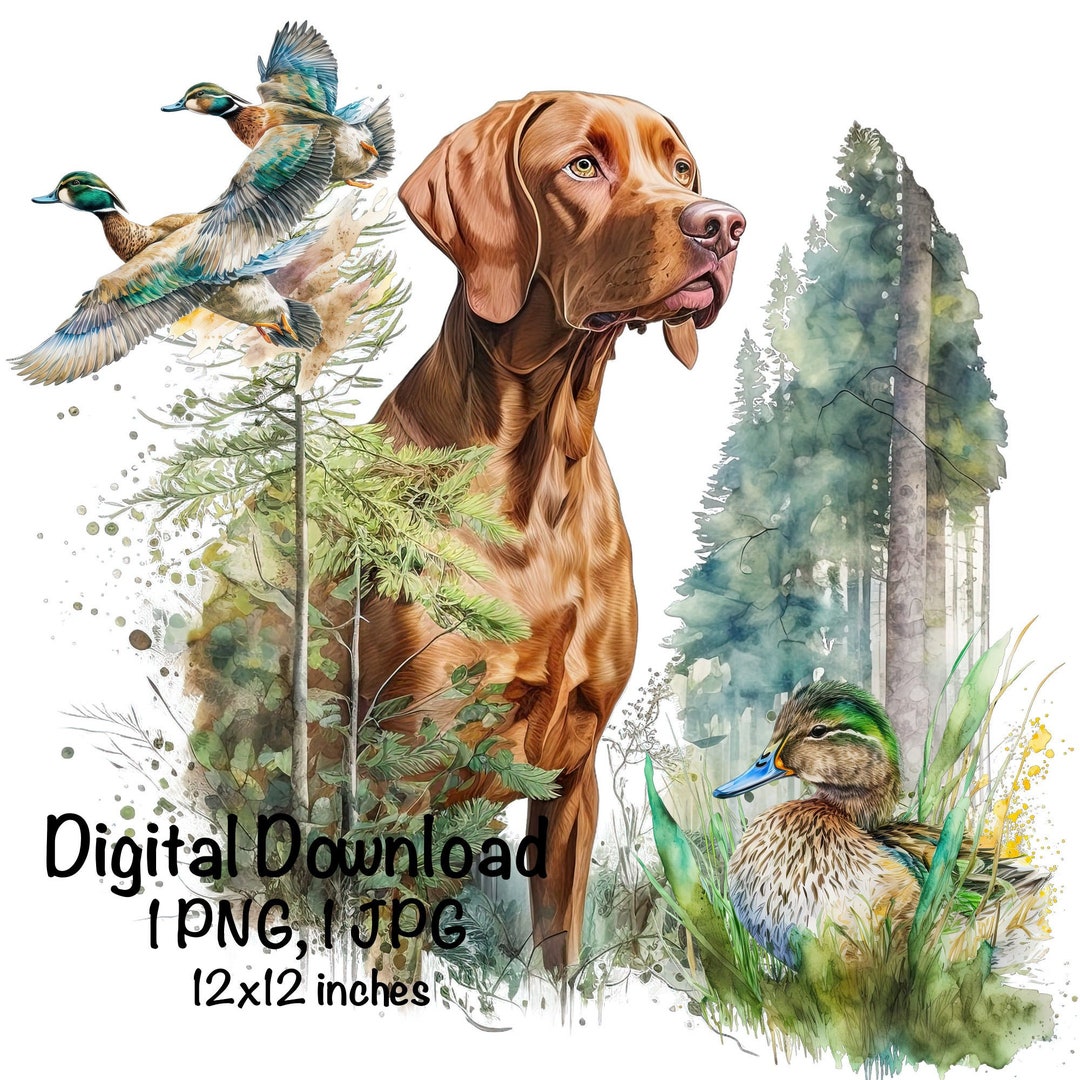 Golden Dog Watercolor Clipart Duck Hunting Dog PNG Commercial Use ...