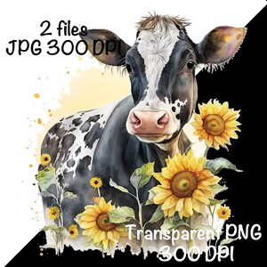 Dairy Milk Cow Watercolor Clipart Highland Cow Sunflowers Flowers PNG ...