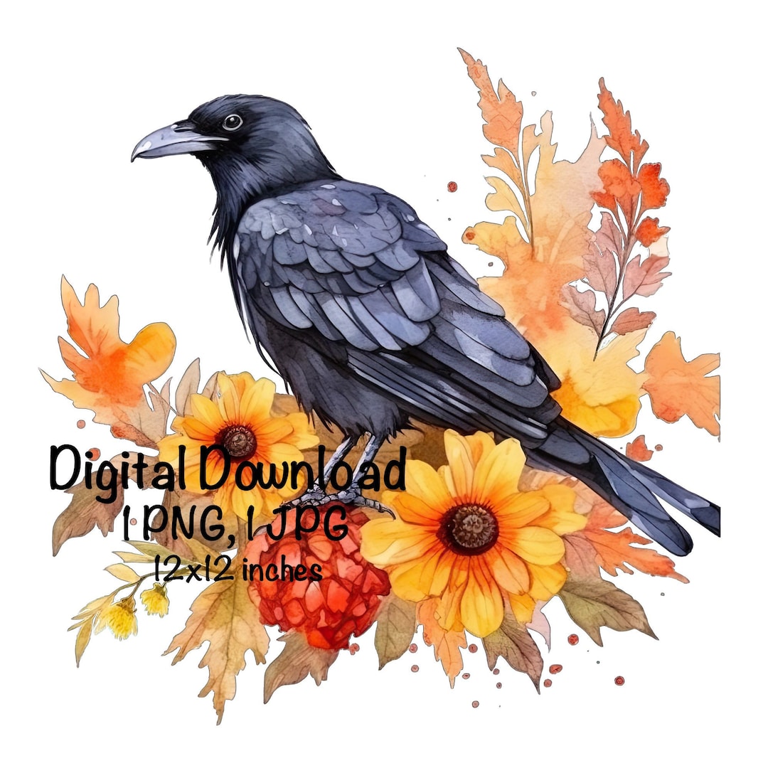 Cute Crow Fall Flowers Watercolor Clipart Crow Spring Bird - Etsy