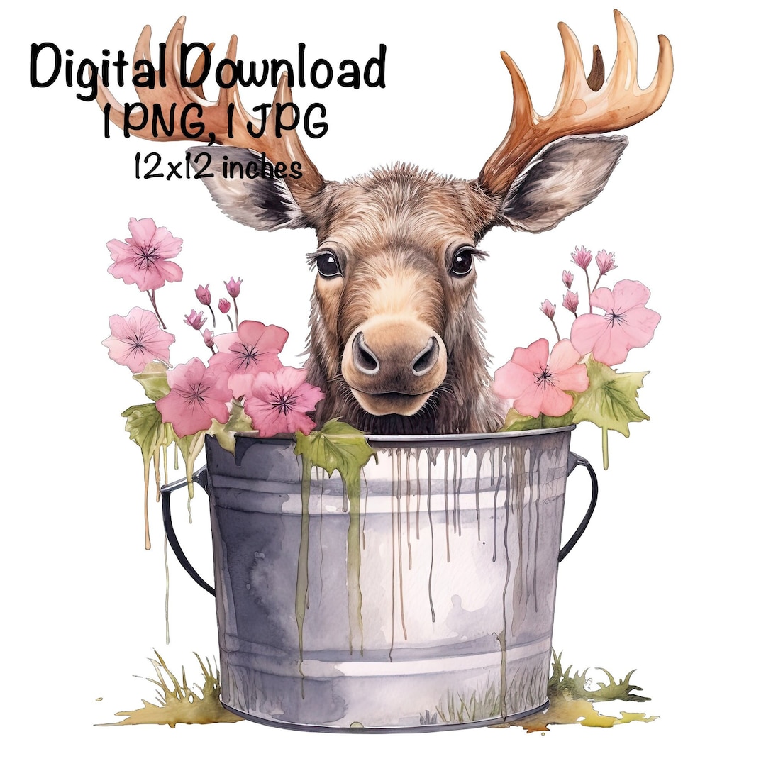 Cute Moose & Spring Flowers PNG Commercial Use Moose Graphic Elk PNG ...