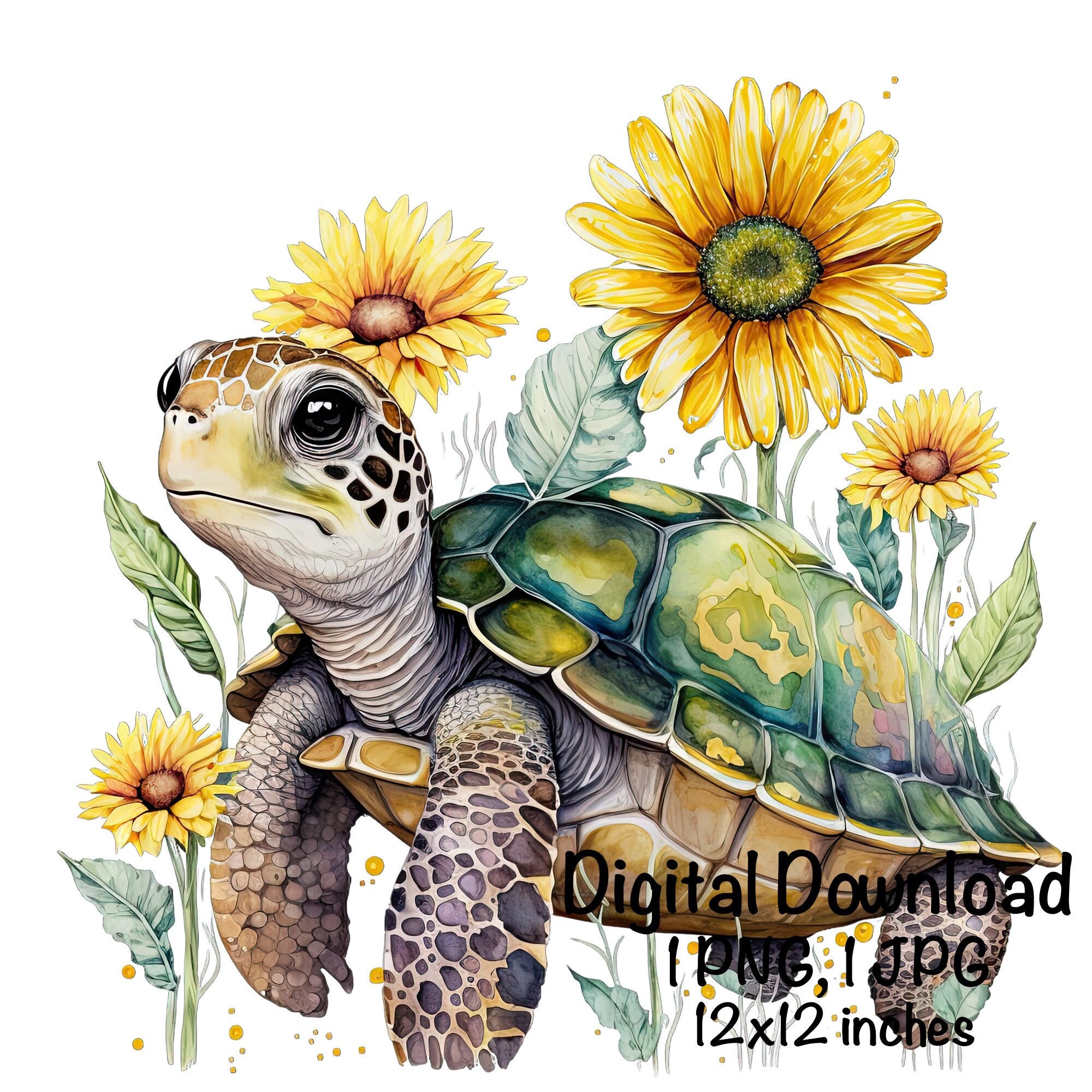Sea Turtle Watercolor Clipart Ocean Sea Animals Sunflowers PNG ...