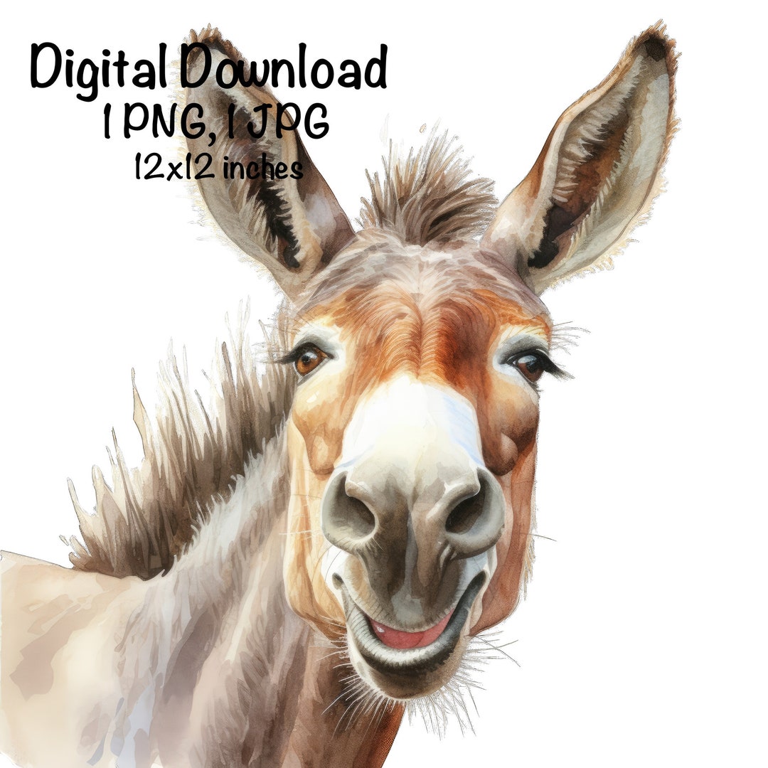 Funny Donkey PNG Clipart Cute Donkey Sublimation Riding PNG Commercial ...