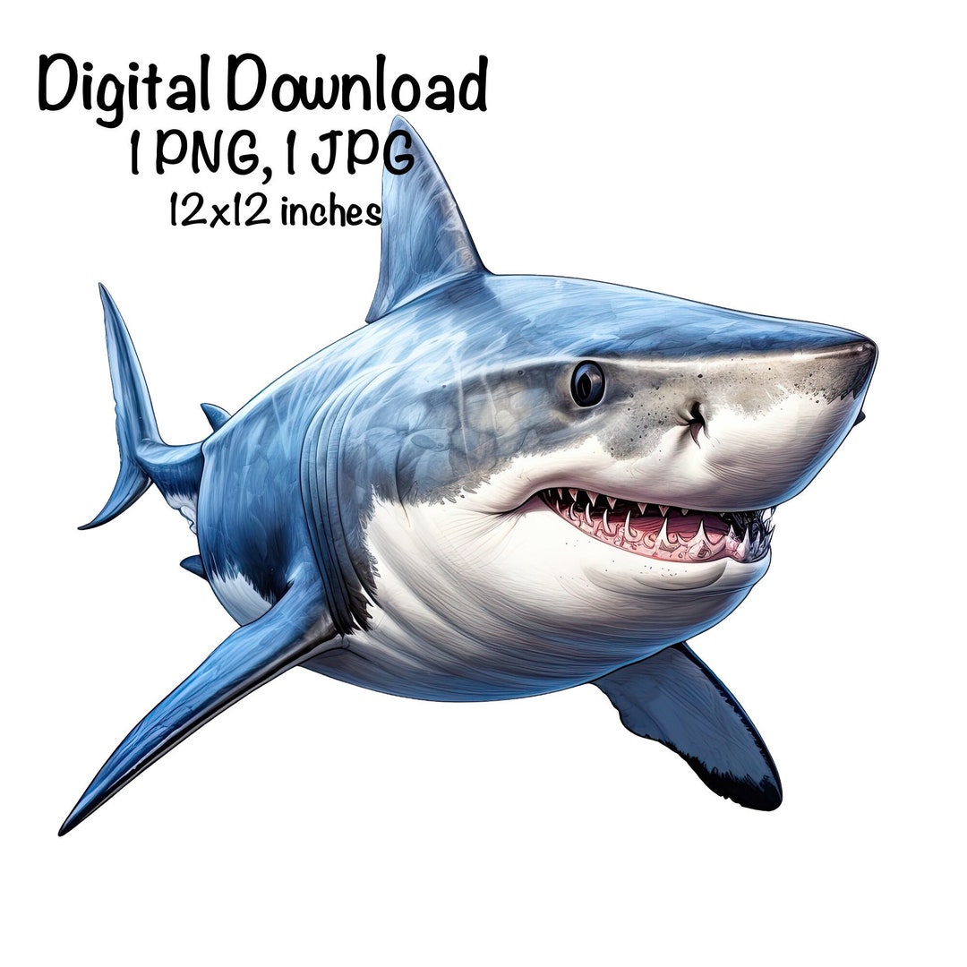 Great White Shark Watercolor Clipart Shark Sublimation PNG Commercial ...