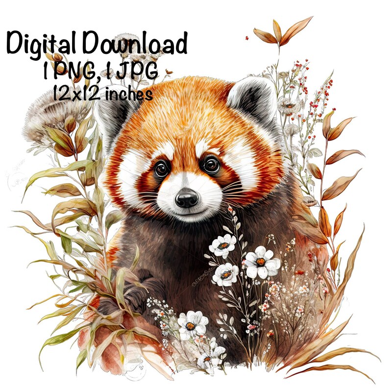 Red Panda Watercolor Clipart Lesser Panda Sunflowers Flowers - Etsy