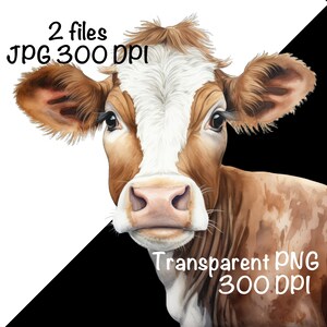 Dairy Milk Cow Watercolor Clipart Highland Brown Jersey Cow PNG ...