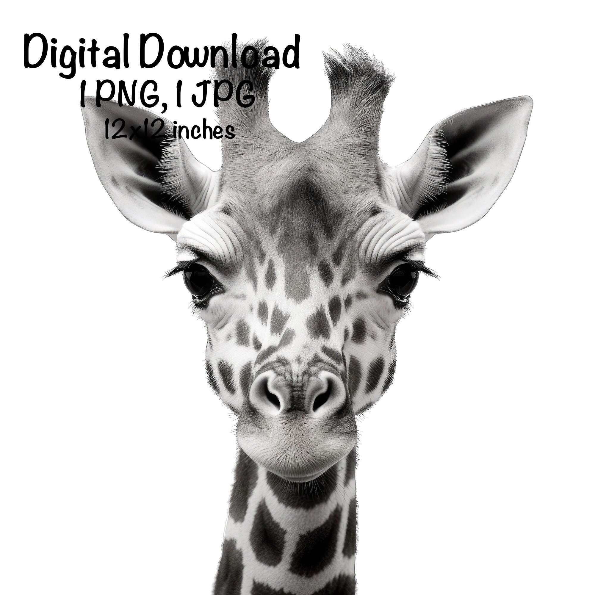 Giraffe Black And White Clipart