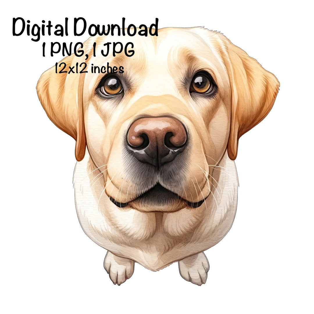 Labrador Dog PNG Yellow Labrador Retriever Sublimation Cute Lab Dog ...