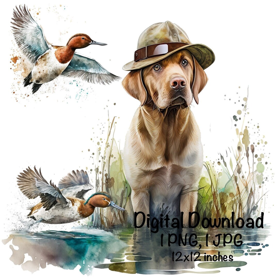 Duck Hunting Dog Watercolor Clipart British Red Labrador Cute Dog PNG ...