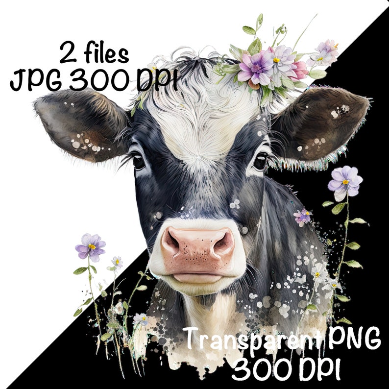 Dairy Milk Cow Watercolor Clipart Highland Cow Daisy Flowers - Etsy