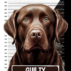 Labrador Mugshot PNG, Hunting Dog Mugshot, Funny Labrador Police Mug ...