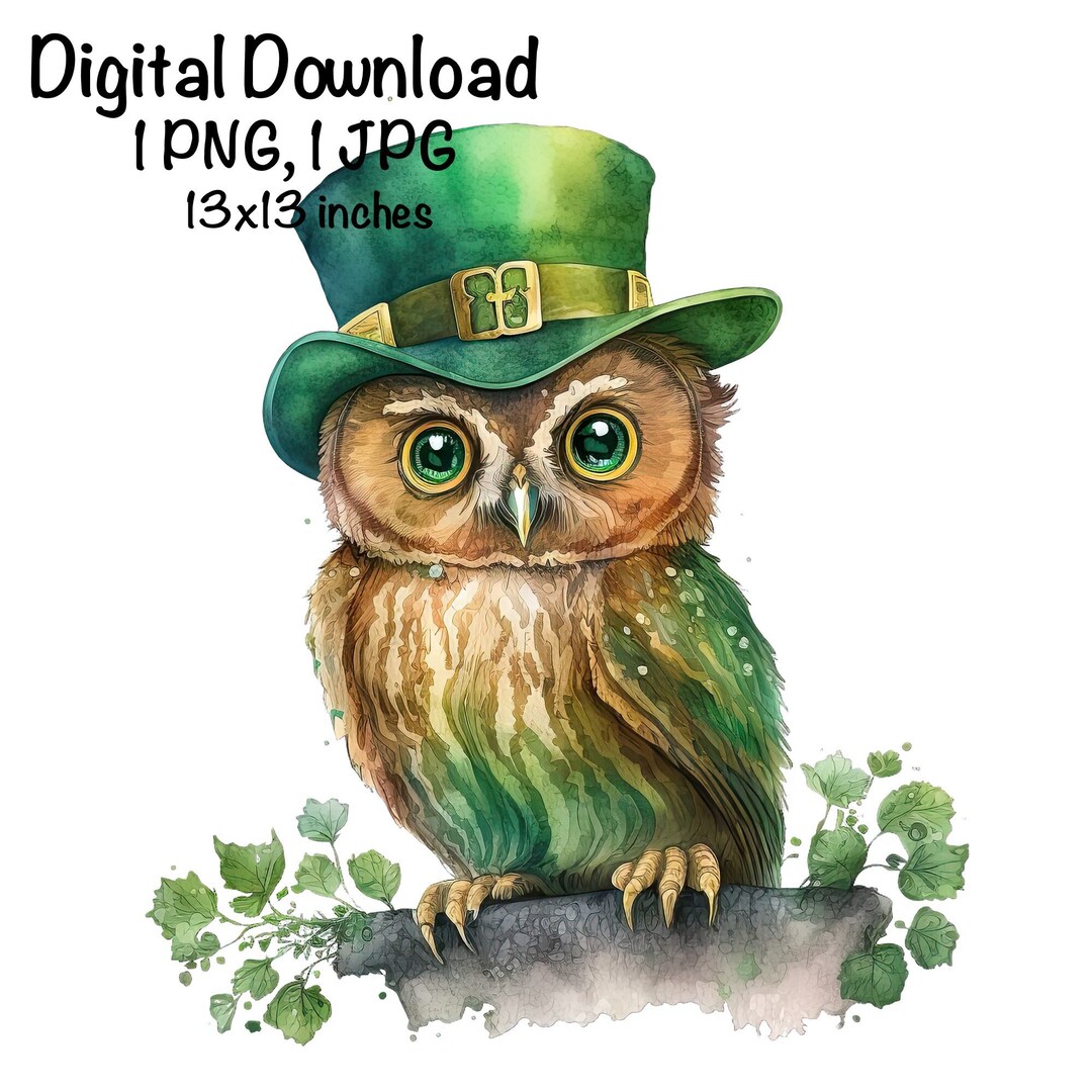 St Patrick Owl Watercolor Clipart St Patrick Holiday PNG Commercial Use ...