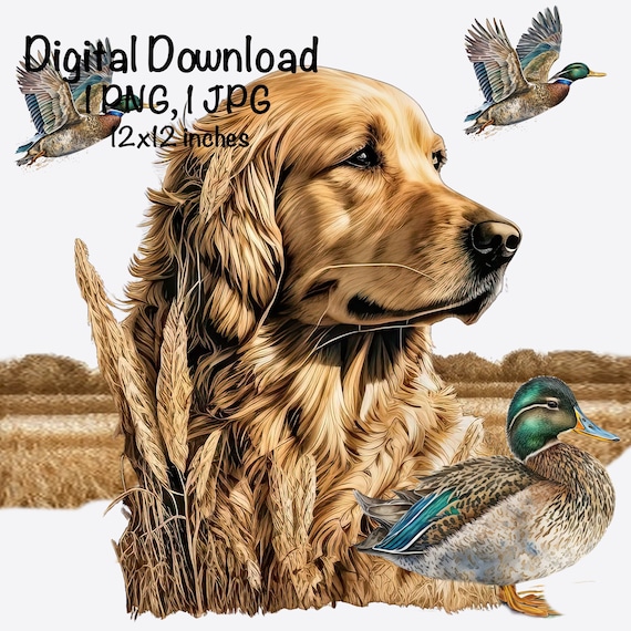 Golden Retrievers Duck Hunting