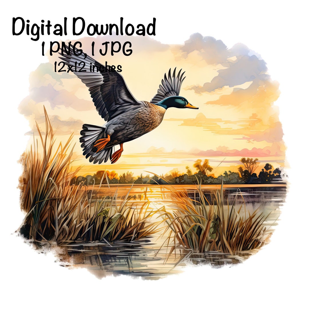 Mallard Duck PNG Wild Duck Sublimation PNG Mallard Duck Sublimation ...