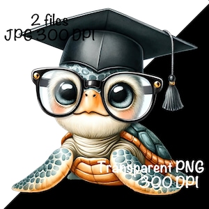 Graduation Sea Turtle Sublimation | Ocean Sea Animals Sea Turtle PNG ...