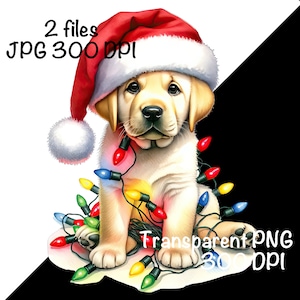 Christmas Labrador Puppy PNG Christmas Lights Santa Yellow Labrador ...