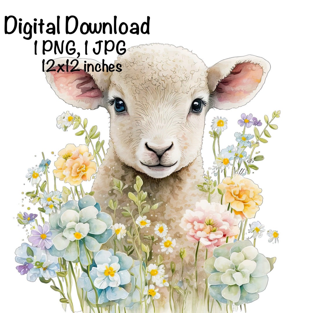 Cute Baby Lamb Watercolor Clipart Lamb Spring Daisy Flowers PNG ...